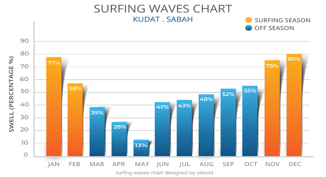 ONE DAY PILOT 30-MINUTE TOUR
